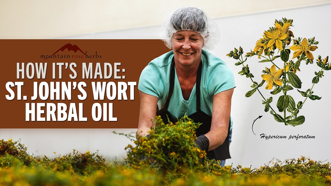 How It's Made: St. John's Wort Oil