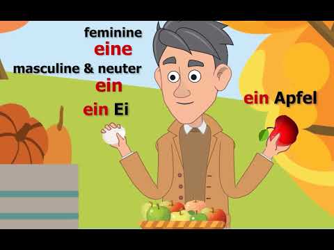 Learn German | Indefinite Articles