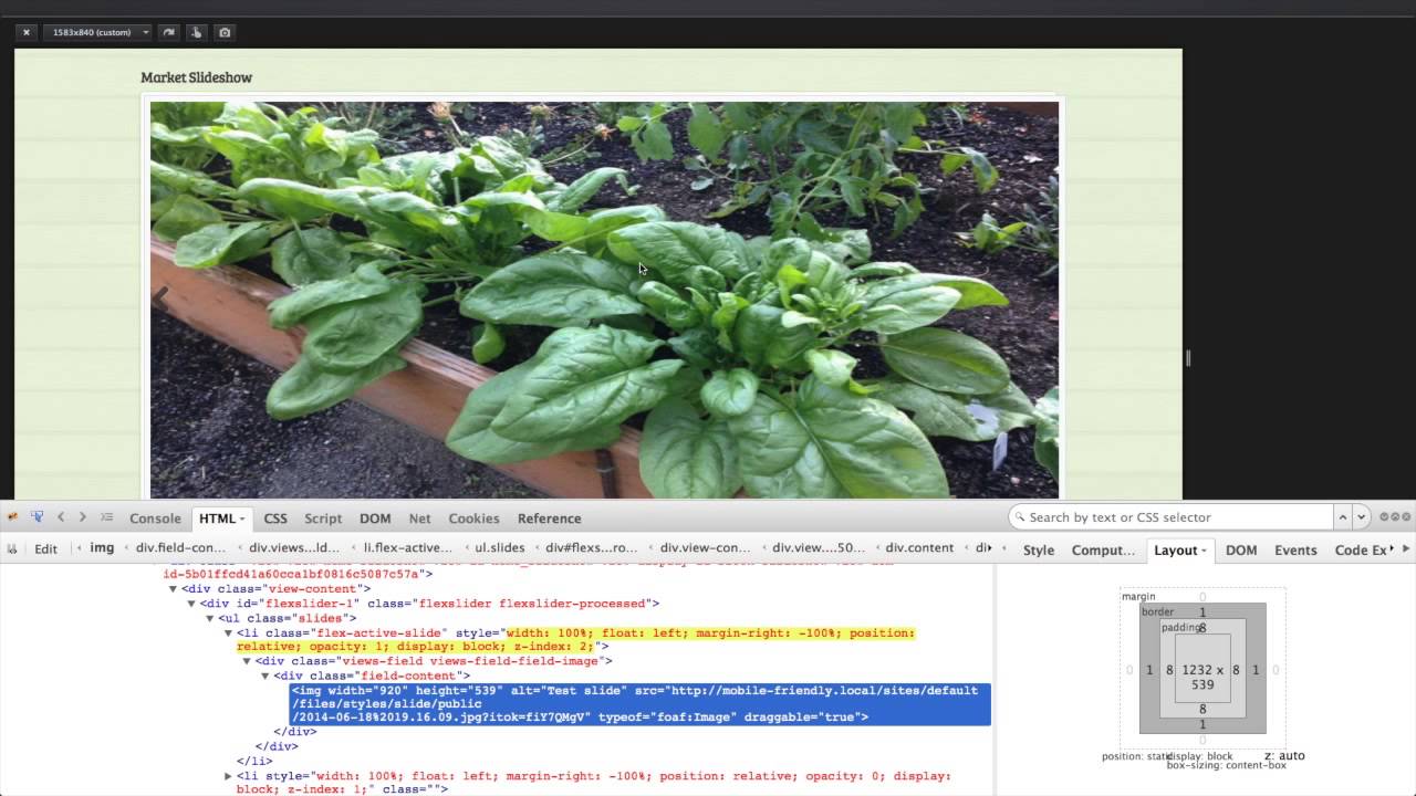Creating Responsive Slideshows in Drupal with FlexSlider