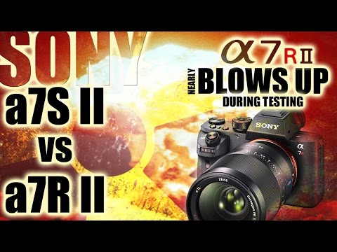 Sony Alpha a7RII vs A7SII Autofocus Meltdown - Beware