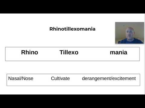 Root Words 3- Medical Terms