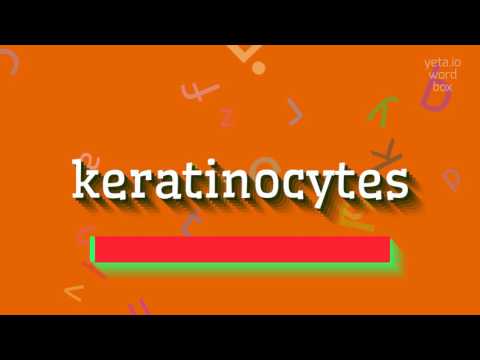 HOW TO PRONOUNCE KERATINOCYTES?
