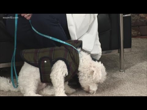 Pet Peeves: Affect of Vitamin D on your dog