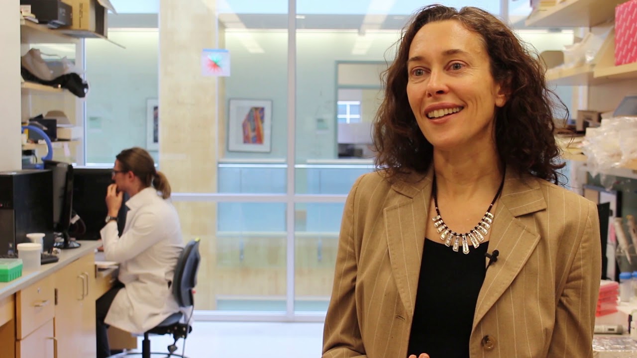 An immune response map to biomaterials | Jennifer Elisseeff, Ph.D.