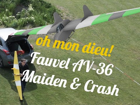 🛩️ Fauvel AV-36 3d-printed RC Plane・ 3D File for ・Cults