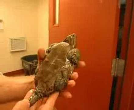 Savannah River Ecology Lab
