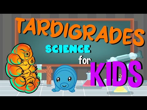 What are Tardigrades | Science for Kids