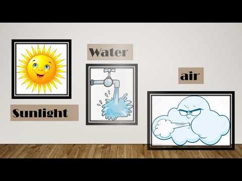 Renewable and Non renewable Online Topic for Grade 3