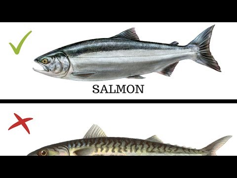 5 Types of Fish You MUST NEVER EAT!
