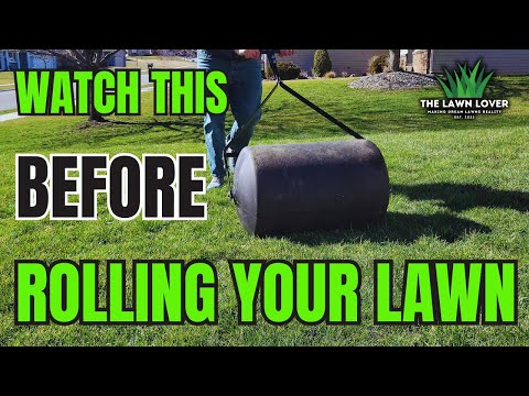 Should I Really Roll My Lawn In The Spring? #diylawncare