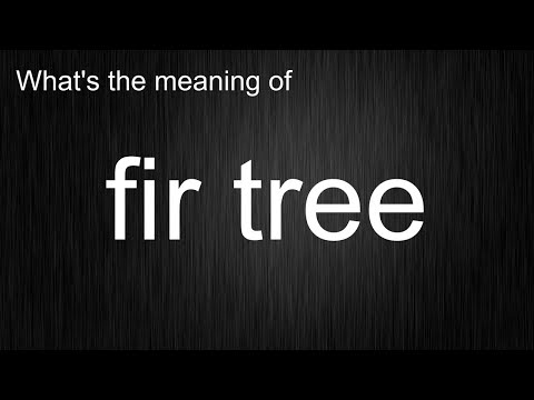 What's the meaning of "fir tree", How to pronounce fir tree?