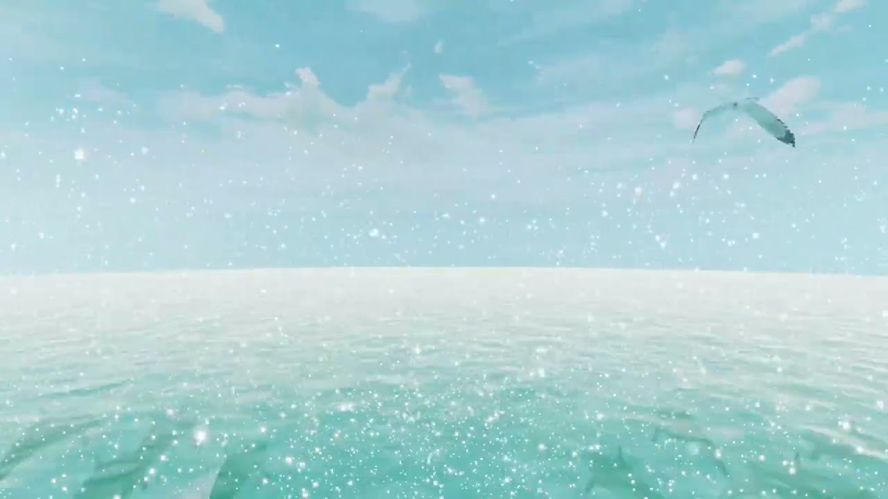 Dolphin meme template idk