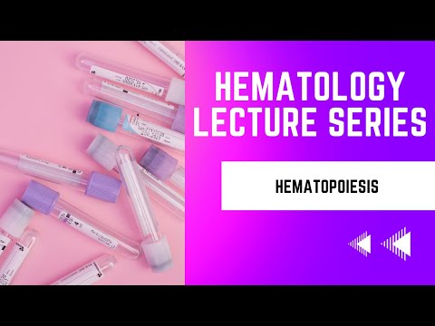 Hematopoiesis-Hematology Lecture Series