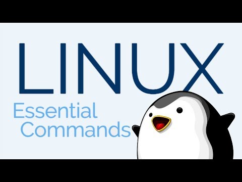 The 12 Most Important Linux Commands (With Examples)