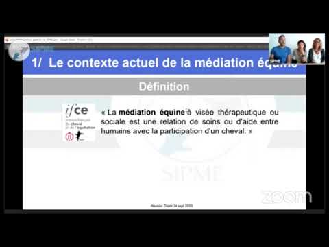 Définition de la médiation équine