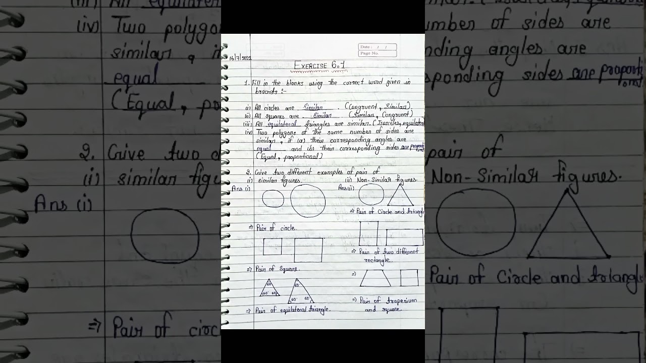 Class 10th Maths CHAPTER 6 TRIANGLE || EXERCISE 6.1 || Complete Solution