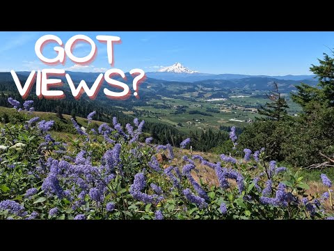 Got Views? Episode 5 | Hood River Mountain Loop | Pacific Northwest