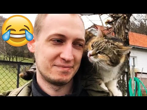 SUPER Weird Cats Doing Weird Things - Funniest Cats Compilation || PETASTIC 🐾