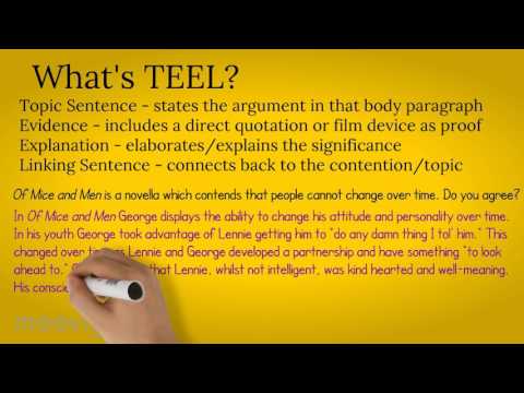 Body Paragraph Basics - Using TEEL