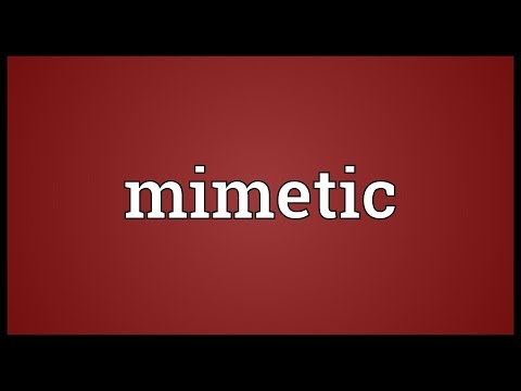Mimetic Meaning