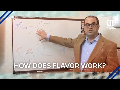 University of Florida Health’s Steve Munger Explains Flavor Perception