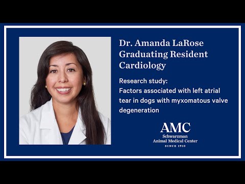Left Atrial Tears in Dogs: Clinical, radiographic, echocardiographic, and pathologic findings