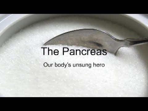 The Pancreas GCSE Science Lesson