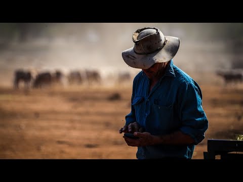 Struggling farmers to receive a helping hand through new NSW govt online hub