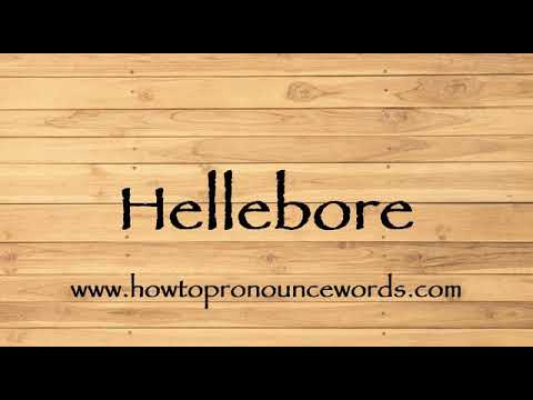 How To Pronounce Hellebore ? How To say Hellebore New Video