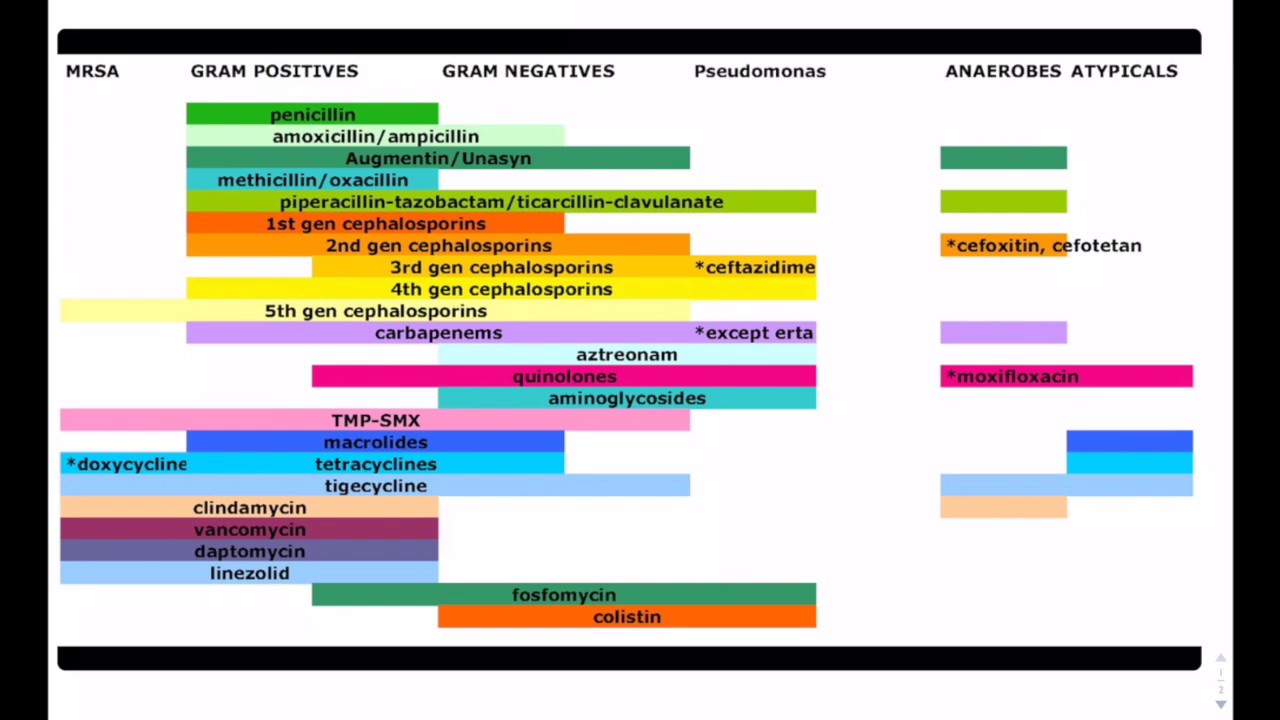 Antibiotic Coverage Made Easy || USMLE | COMLEX