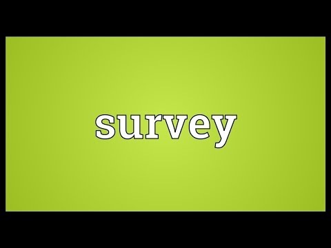 Survey Meaning