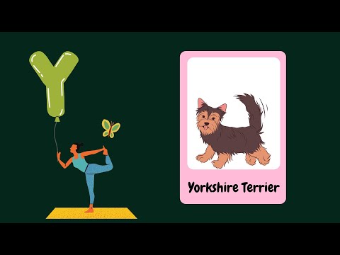 WORDS THAT START WITH Y/Fun Kids English - YouTube 🐜🐤🐴