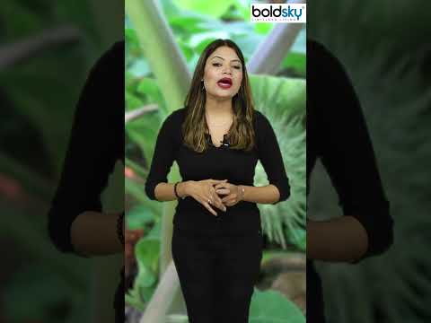 Dhatura Khane se Kya Hota hai #mahashivratri2023 #healthtips #health
