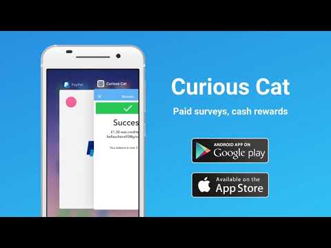 Curious Cat: Money for Surveys