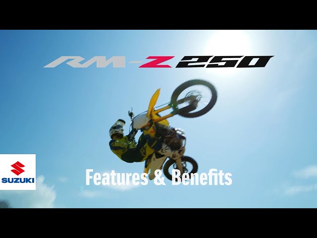 Suzuki RM-Z250 2019-2020 precio ficha opiniones y ofertas