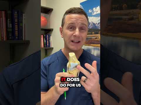 Do Platelet Rich Plasma (PRP) Injections REBUILD Knee Cartilage?