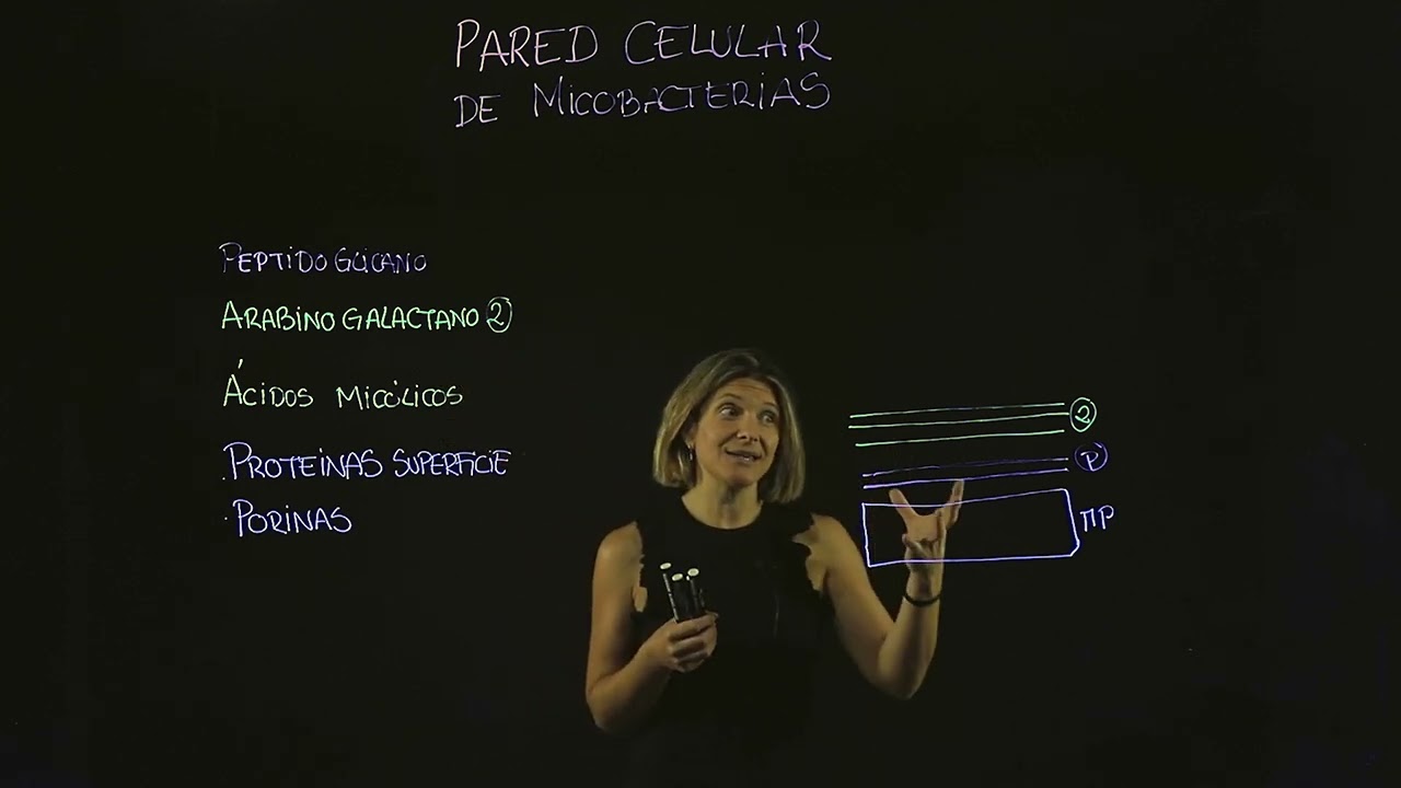 pared de micobacterias