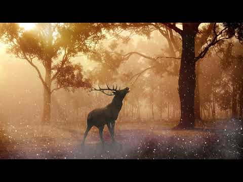 Cernunnos Meditation | Connect to the Nature God Cernunnos