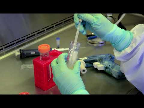 Cryopreserved Hepatocyte Thawing Demo with XenoTech's Optimized Media (2016)
