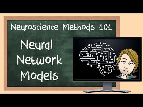 Neural Network Models Explained! | Neuroscience Methods 101