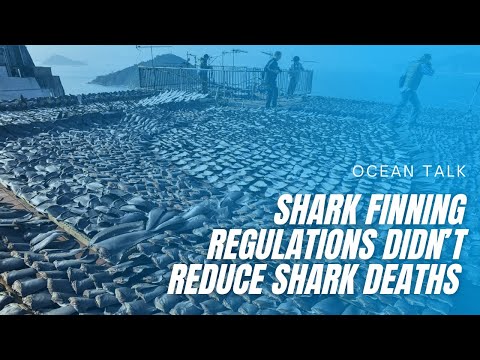 The Ineffectiveness of Shark Finning Regulations: Exploring the Impact on Shark Mortality