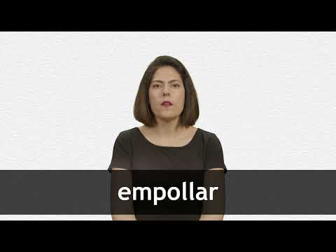 English Translation of “EMPOLLAR” | Collins Spanish-English Dictionary