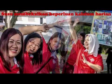 Projek Khas DMBS 2017 SJK CHK (Part. 2/3)