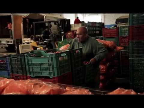 Video institucional oficial – red BAMX | Bancos de Alimentos de México