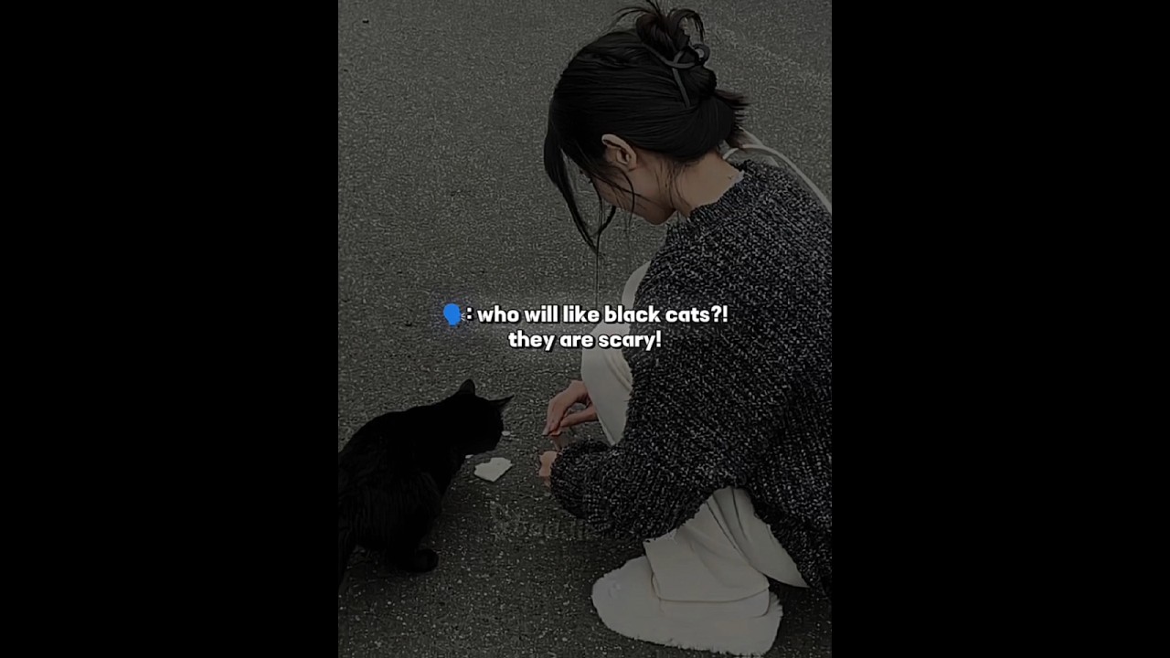 Black cats...😭🤍 #shorts #subscribe #fyp #trending #aesthetic #viralshorts #cat #shortsviral