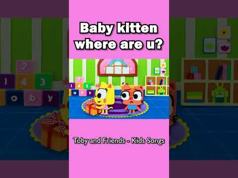 Baby Kitten Where are u? - Toby And Friends | Animal Songs For Kids #shorts
