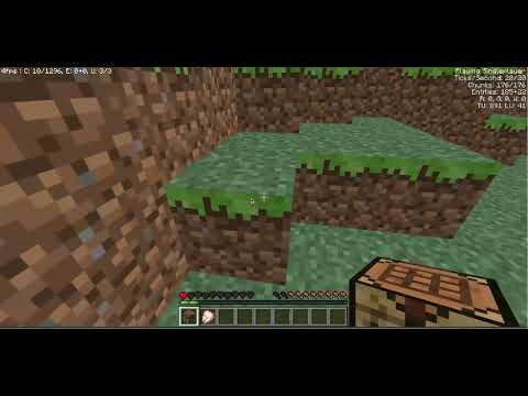 I tried to play minecraft on a computer