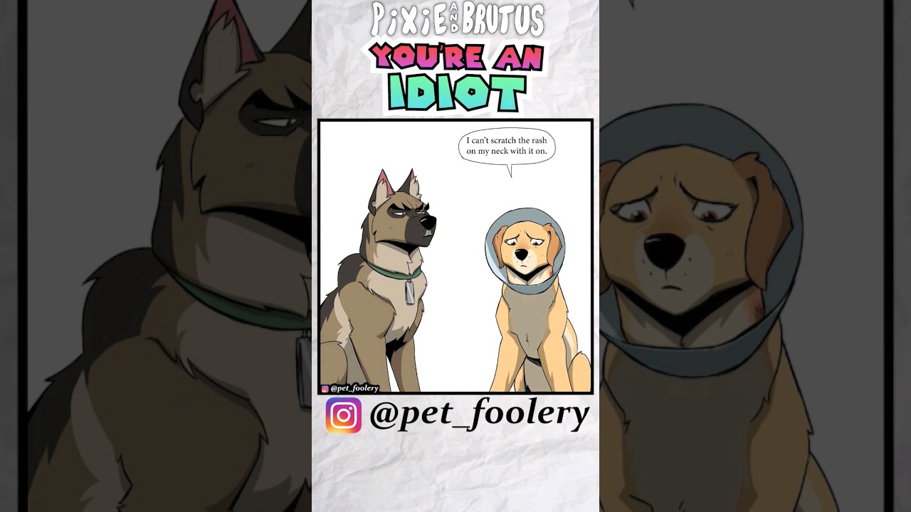 Everyone is MEAN to Lola  |  Pixie and Brutus Comic