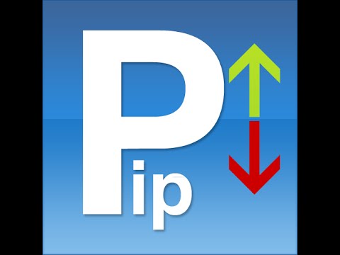 What is a Pip?