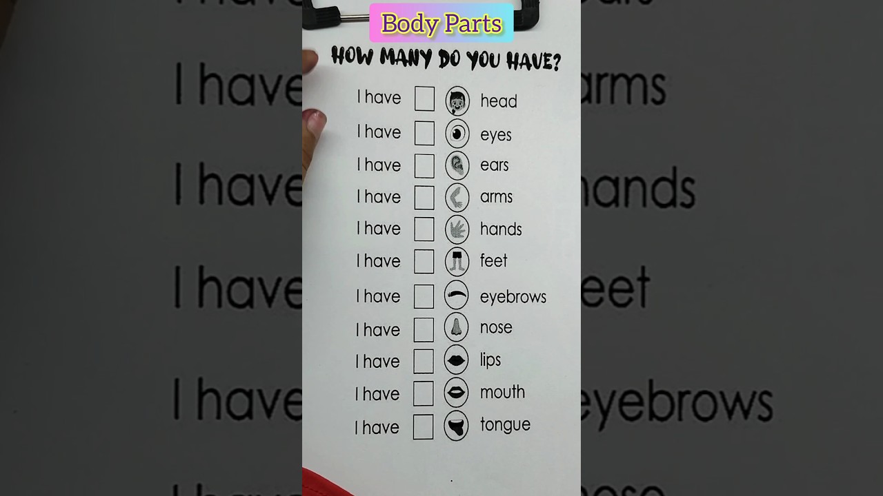 Body Parts #bodyparts #evs #worksheet #shorts